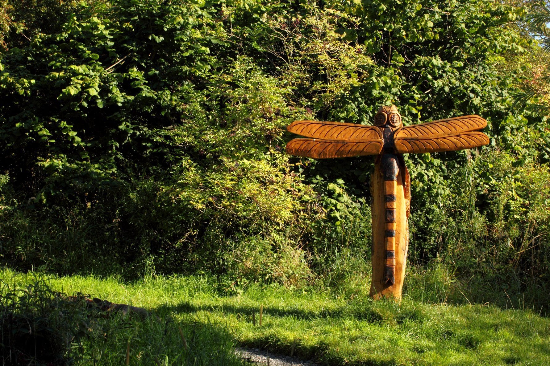 Flatts Lane Woodland Country Park - Visit Tees Valley