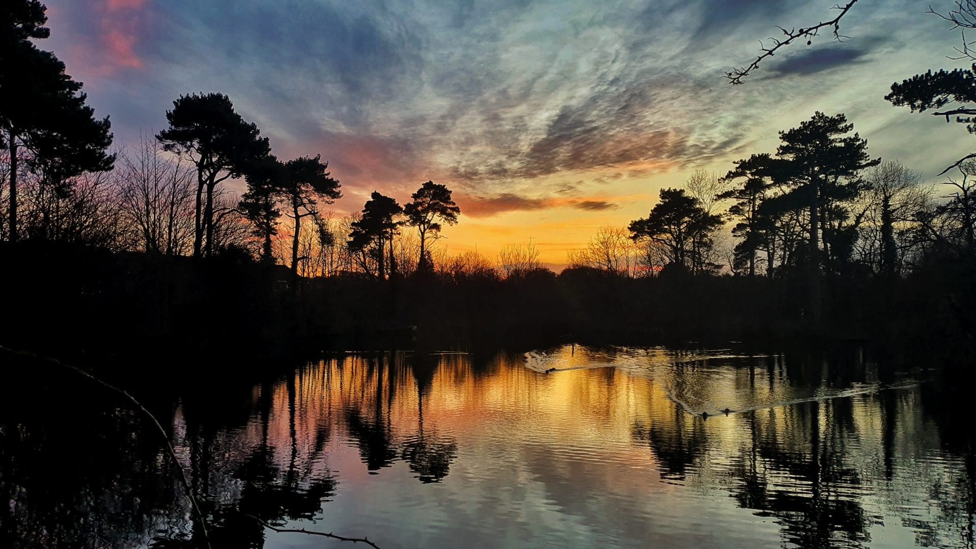 South Park - Visit Tees Valley